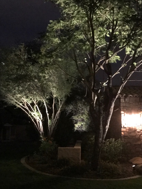 Landscape Lighting